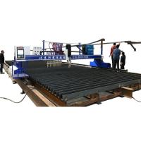 China 10 Torches Sheet Metal Plasma Table CNC Oxyfuel Multi Torch Gas Cutting Machine for sale