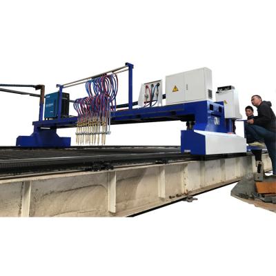 China SNR CNC Plasma Cutter Torch Multi Torch Gas Cutting Machine 3000x6000mm for sale
