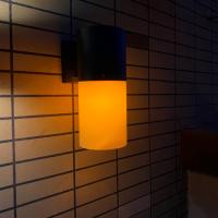 China Decorative Outdoor Solar Wall Light 24 LED Flame Effect Amber IP54 108mm for sale