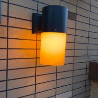 China Solar LED Flame Wall Sconce Outdoor Light Aluminum 5V 150mA 50 Lumen for sale