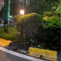 China Solar Powered Garden Pathway Bollard Light 100 Lumens 80cm Vintage Decorative for sale