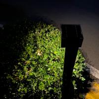 China Solar Post Light 5V 1.6W 60cm Metal Pole Garden Accent LED Lamp for sale