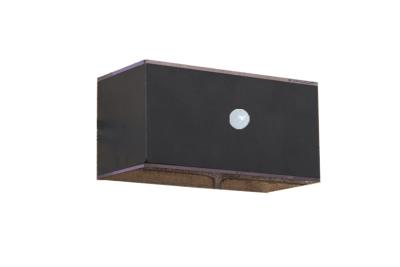 China Solar Wall Sconce 3.7V 2000mAh Motion Sensor Outdoor LED Light for Garden for sale