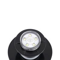 China 45 Lumen Solar Motion Sensor Security Light White Outdoor 3.2V 600mAh for sale