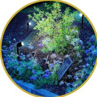 China 2W LED Solar Landscape Spotlights IP65 Adjustable Auto On Off for sale