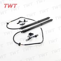 China TWT Struts Rear Electric Tailgate Lift Support Rod Pair Liftgate Power Hatch Opener Gas Struts Car Power Gas Spring 68910-09010 for sale