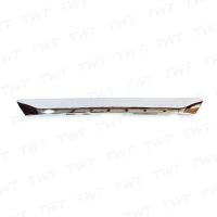 China TWT 76801-48230 76801-48280 76801-48281 Back Door Outer Trim Tail Cover Backdoor Outside Garnish for Toyota Lexus RX270 350 450H for sale