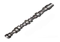 China Cummins M11 Engine Camshaft 4059893 OEM Quality Heavy Duty Spare Part for sale