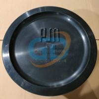 China 262893000 19003001 PUTZMEISTER PISTON RAM DN230 CONCRETE PUMP for sale