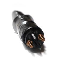 China 0445120199 Fuel Injector for Higer KLQ6606 XMQ6996Y Bus Diesel Performance for sale