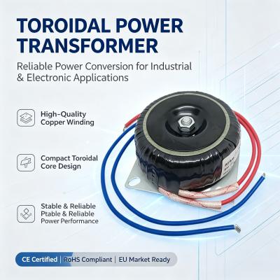 China ZXY 600VA Toroidal Power Transformer with Pure Copper Winding and Low Noise for Stable 36V Output for sale