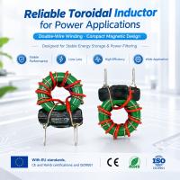 China 200μH Toroidal Inductor with Double Wire Winding for Energy Storage and Power Filtering for sale