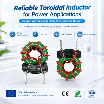 China 200μH Toroidal Inductor with Double Wire Winding for Energy Storage and Power Filtering for sale