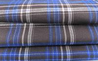 China 255GSM Anti-Wrinkle Plaid Shirt Fabric T76R32SP4 Composition for Business Casual Wear for sale