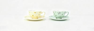 China Pastel Tiny Floral Ceramic Cup & Saucer 2-Color Gift Set for sale