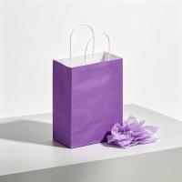 China Biodegradable Kraft Paper Bag Plastic Free Packaging Alternative Ideal for Holiday Gift Packaging and Retail Applications for sale