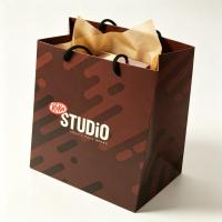 China Recycled Gift Bags Foldable Paper Shopping Bags with Black Twisted Rope Handles and Custom Size Options for Giveaways for sale