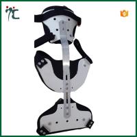 China orthopedic back brace lumbar back support breathe spine orthosis for sale