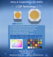 China 280W CSP LED High Power TunableWhite TLCI95 COB LED Module for sale