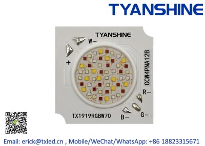 China Smart Lighting 500mA RGBW LED 70W COB LED LES12mm 36V LED COB RGBW for sale