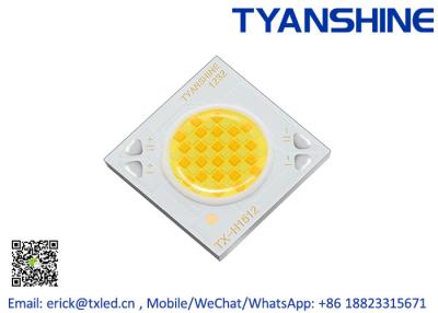 China LM80 LED COB 2800K-6500K Tunable White 20Watt CRI 90Ra COB LED Module for sale