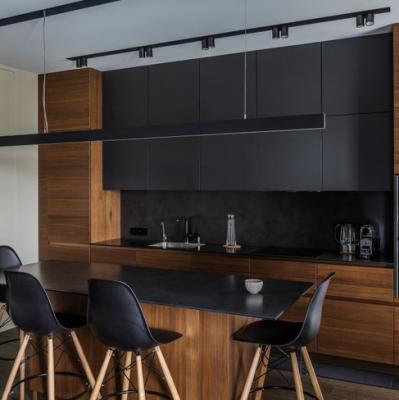 China Modern Kitchen Cabinet: Stainless Steel Apartment‑Style Modern Shaker Cabinets with Lacquer Finish for sale