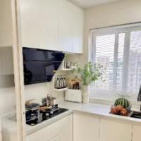China New Modular Solid Wood Kitchen Furniture Custom Cabinets for Apartment Use for sale