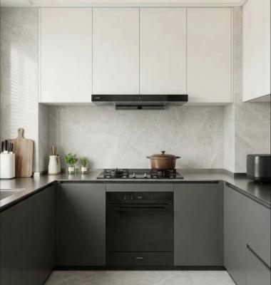 China Factory Direct Modern Kitchen Cabinet and Custom Size Available, Full OEM with ODM Service for Global Distributors for sale