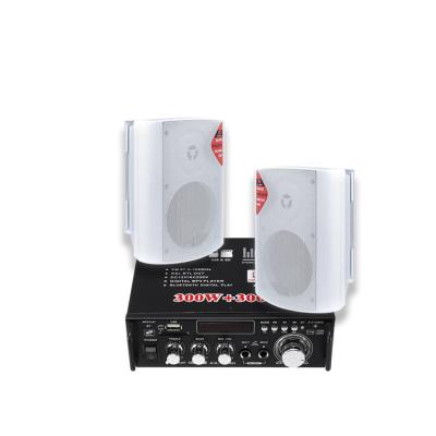 China Mini Small Power Amplifier Power Amplifier 12 Volt 220V Household Car Wireless Yes Speaker Small for sale