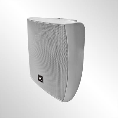 China HOME THEATER Professional Public Broadcasting Passive Multimedia Wall Hanging ABS HIFI Conference Room 6.5 Inch Speaker for sale