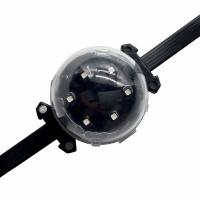 China Building Bridge Decoration RGBW Pixel Lights Outdoor Point Light for sale