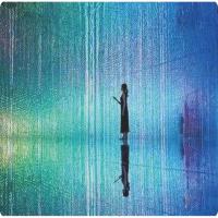 China Indoor Outdoor Crystal 3D Pixel Light Festival Decorative Lights Waterproof IP65 for sale