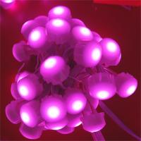 China T20 12V LED Christmas Lights Roof Point Light For Outdoor Decoration for sale