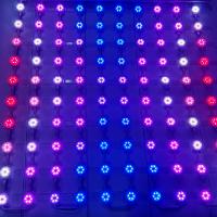 China Flexible Glass Cabinet LED Pixel Screen for Indoor Outdoor Advertising for sale