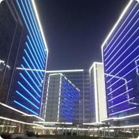China Permanent Christmas Pixel Point Led Light For Amusement Park for sale