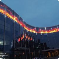 China Flexible Glass Cabinet LED Pixel Screen for Indoor Outdoor Advertising for sale