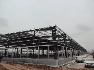 China Colorful Cladding Steel Frame Workshop By TEKLA Modeling Designed Steel Building for sale