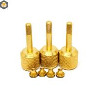 China High Precision Custom Alloy Pin Knurled Nut Screw for CNC Lathe Turning Milling Parts for sale