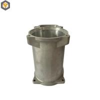China Vertical Pressure Chamber Auto Spare Parts Die Casting in with 1 Level Casting Surface for sale
