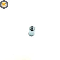 China Mini Pack Blind Rivet Nut Threaded Fasteners Spare Part with Polishing Finish BY-0504 for sale