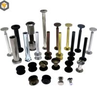 China Polishing Special Head Stainless Steel Carbon Steel Non Standard Screw Fastener Spare Part for sale