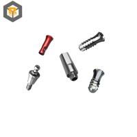 China Custom Dental Implant Abutment Titanium Alloy Retaining Screws Straight Plural Abutment Precision Machining Part for sale