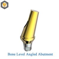 China Bone Level Dental Implant System Customized by 2D/3D/Drawing for Dental Clinical Needs for sale
