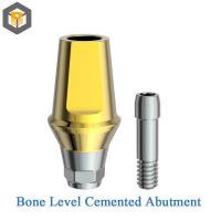 China Dental Mini Implant Narrow Connection for Teeth Restoration Customized by 2D/3D/Drawing for sale