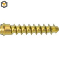 China Customized by 2D/3D/Drawing Instruments Top Selling Orthopedic Implant Cortical Screw for sale