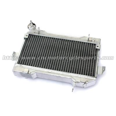 China Quad Bike Parts ATV Radiators With Cap For SUZUKI LTR450 LTR 450 for sale
