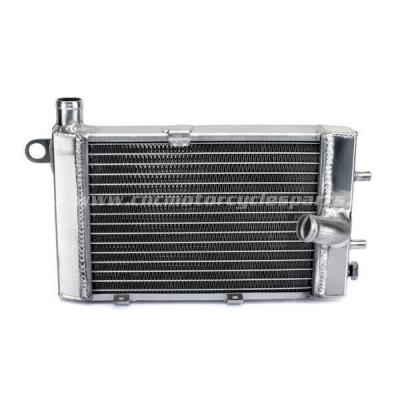 China Aluminum Motorcycle Radiators Leak Repair For APRILIA TUONO 1000 for sale
