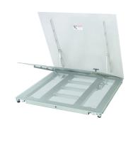 China Industrial Lift Floor Scale PFA779lift-DS300A - Durable Platform with Easy Maintenance Access for sale