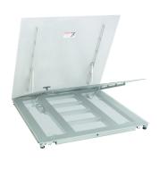 China Industrial Lift Floor Scale PFA779lift-DS300A - Durable Platform with Easy Maintenance Access for sale