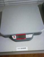 China Veterinary Weighing Bench Platform Scales Industrial Weight Bench 280 Mm X 316 Mm for sale